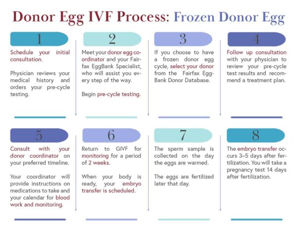Frozen Donor Egg IVF Program - GIVF Fertility | Fairfax, VA