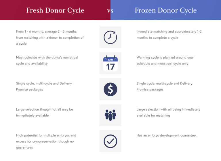Donor Egg IVF - GIVF Fertility - GIVF Fertility